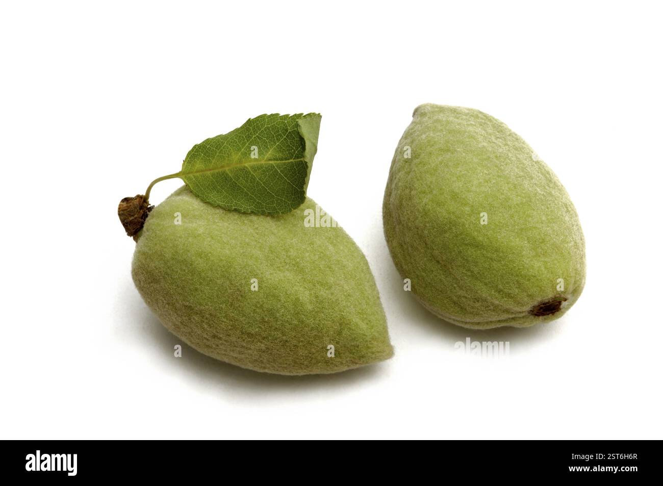 Almonds on white plate Cut Out Stock Images & Pictures - Alamy