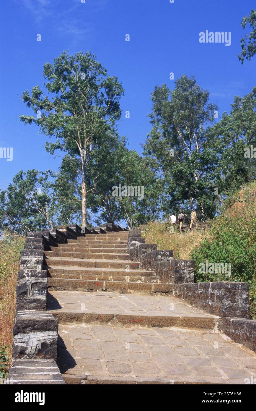 Steps and greenery, Karla Caves near Lonavala, Dist Pune, Maharashtra ...