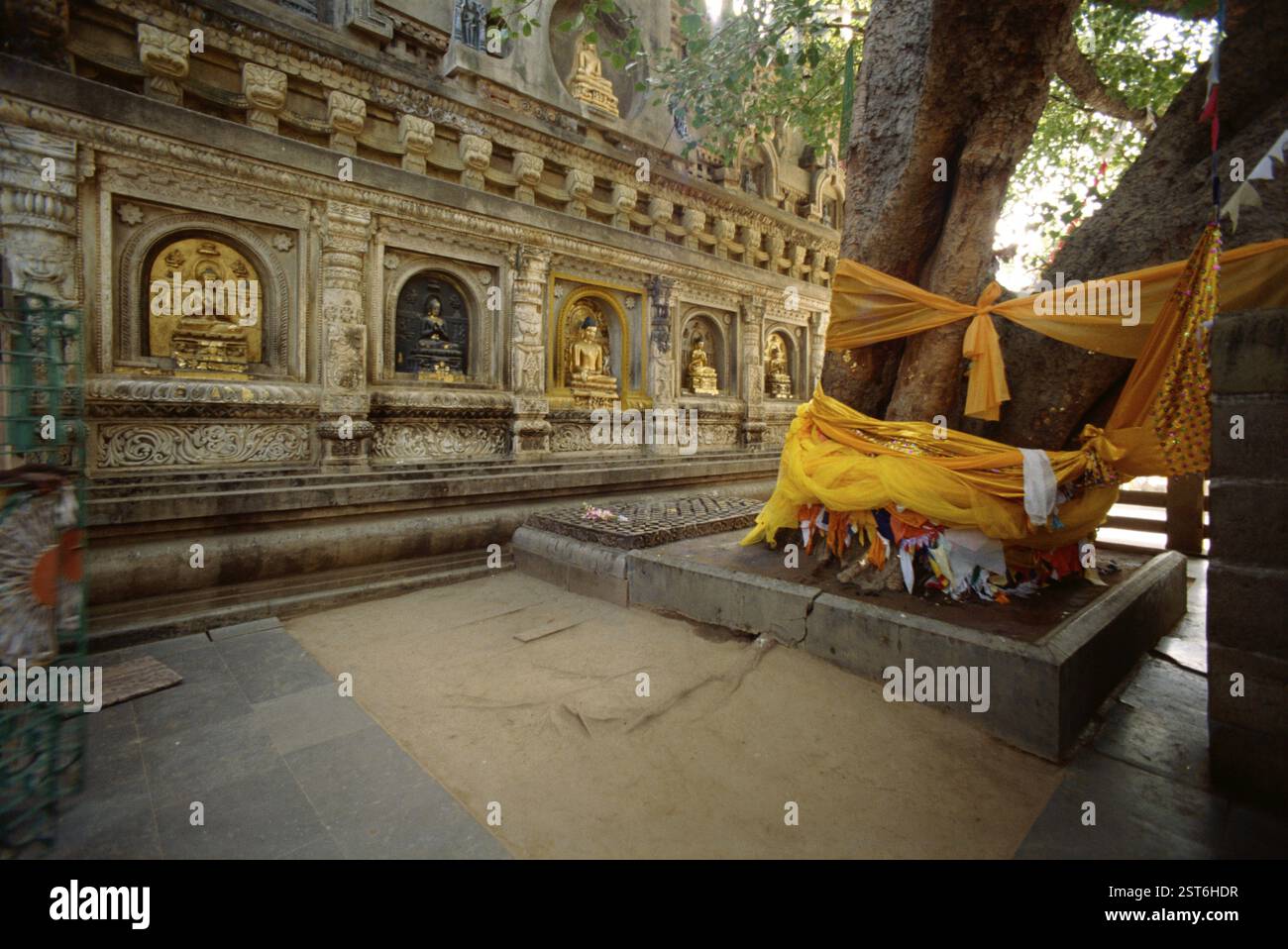 Bodhgaya Maha Bodhi tree and Bodhista temple, Bihar, India, Asia Stock ...