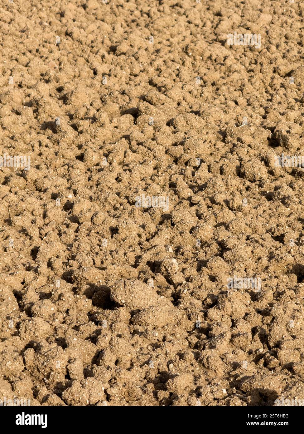 A close-up shot of brown, crumbly soil with small clumps scattered ...