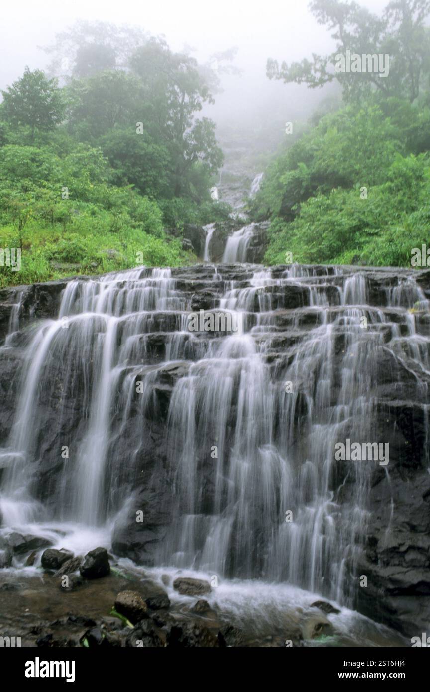 Misty landscape with waterfall, malshej ghat, maharashtra, India, Asia ...