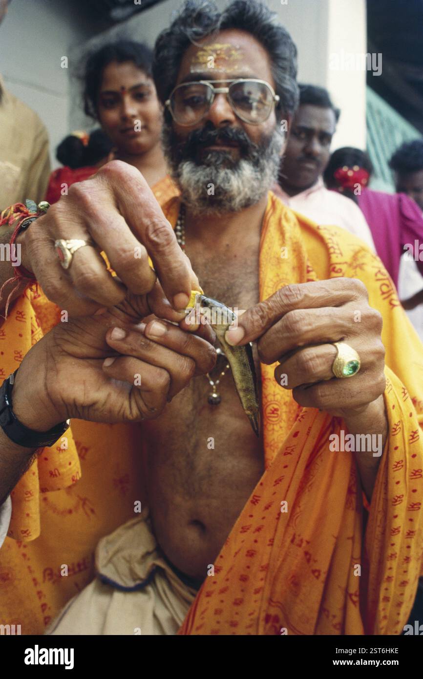 Fish cure treatment, india Stock Photo - Alamy
