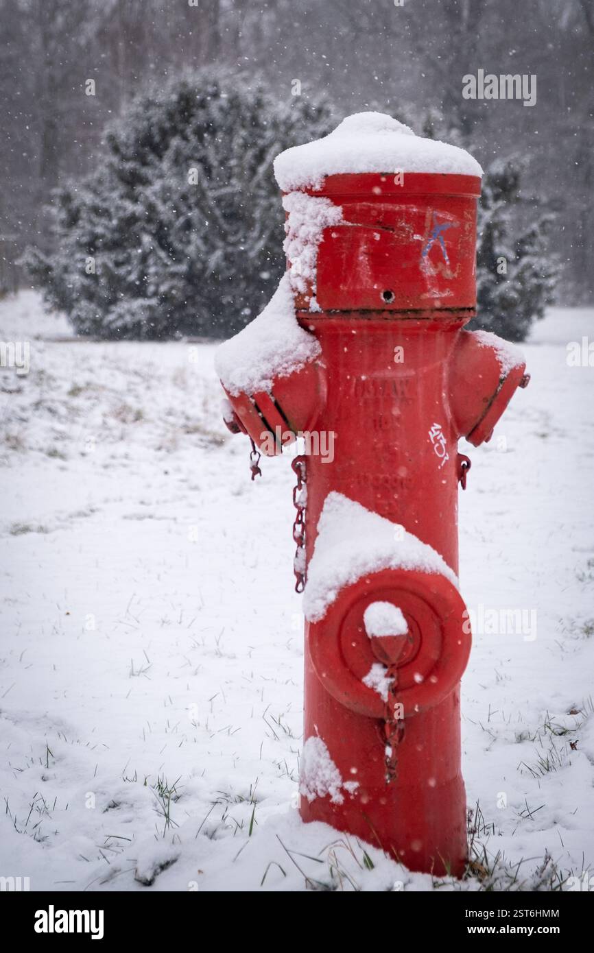 fire hydrant with snow in nature Stock Photo - Alamy