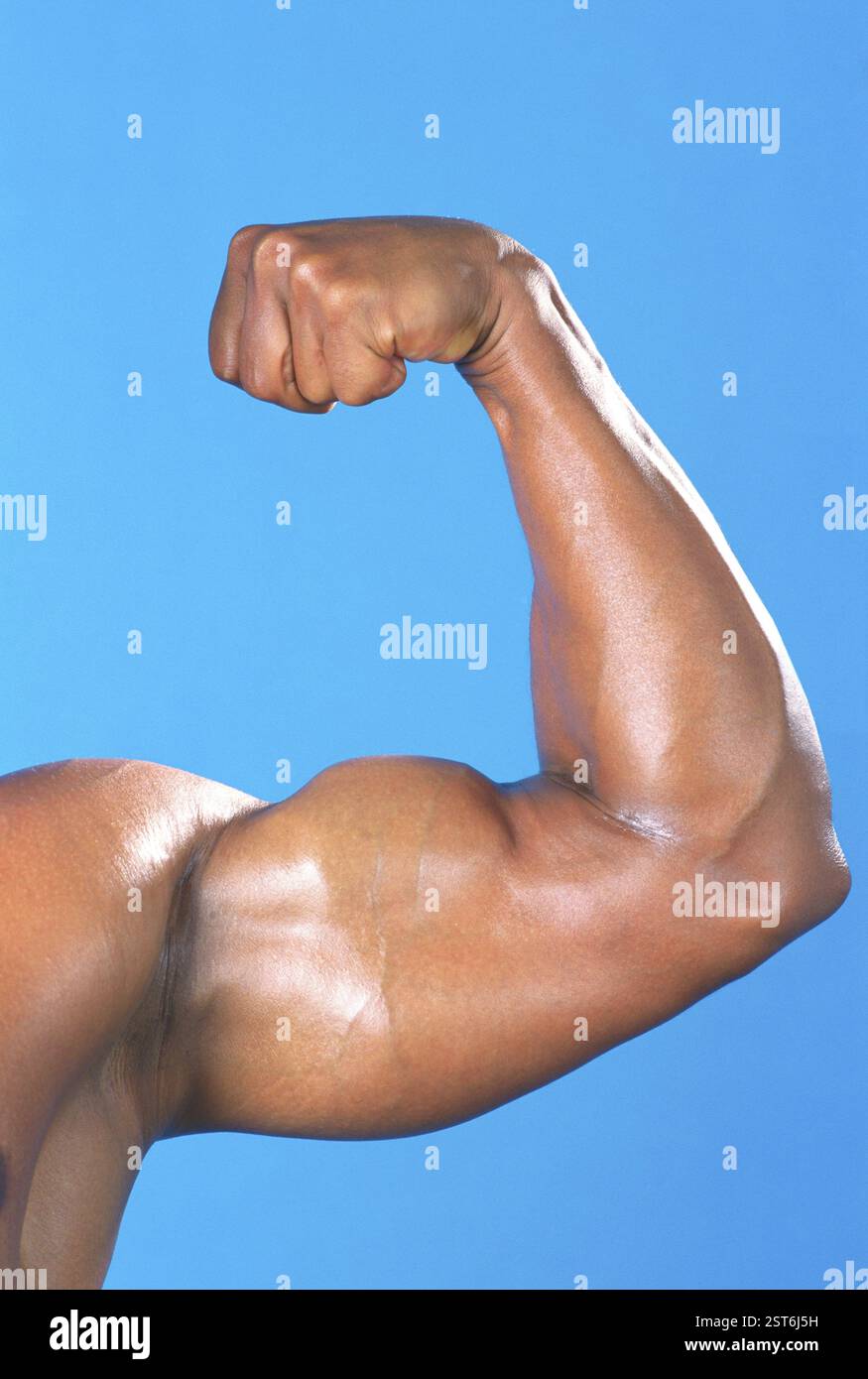 Asian bodybuilders hi-res stock photography and images - Alamy