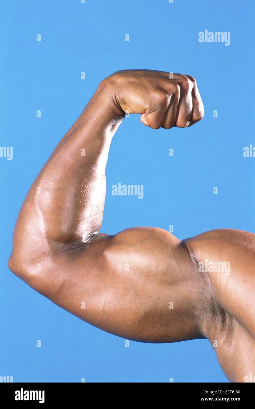 Body Builder showing arm muscles MR#411 Stock Photo - Alamy