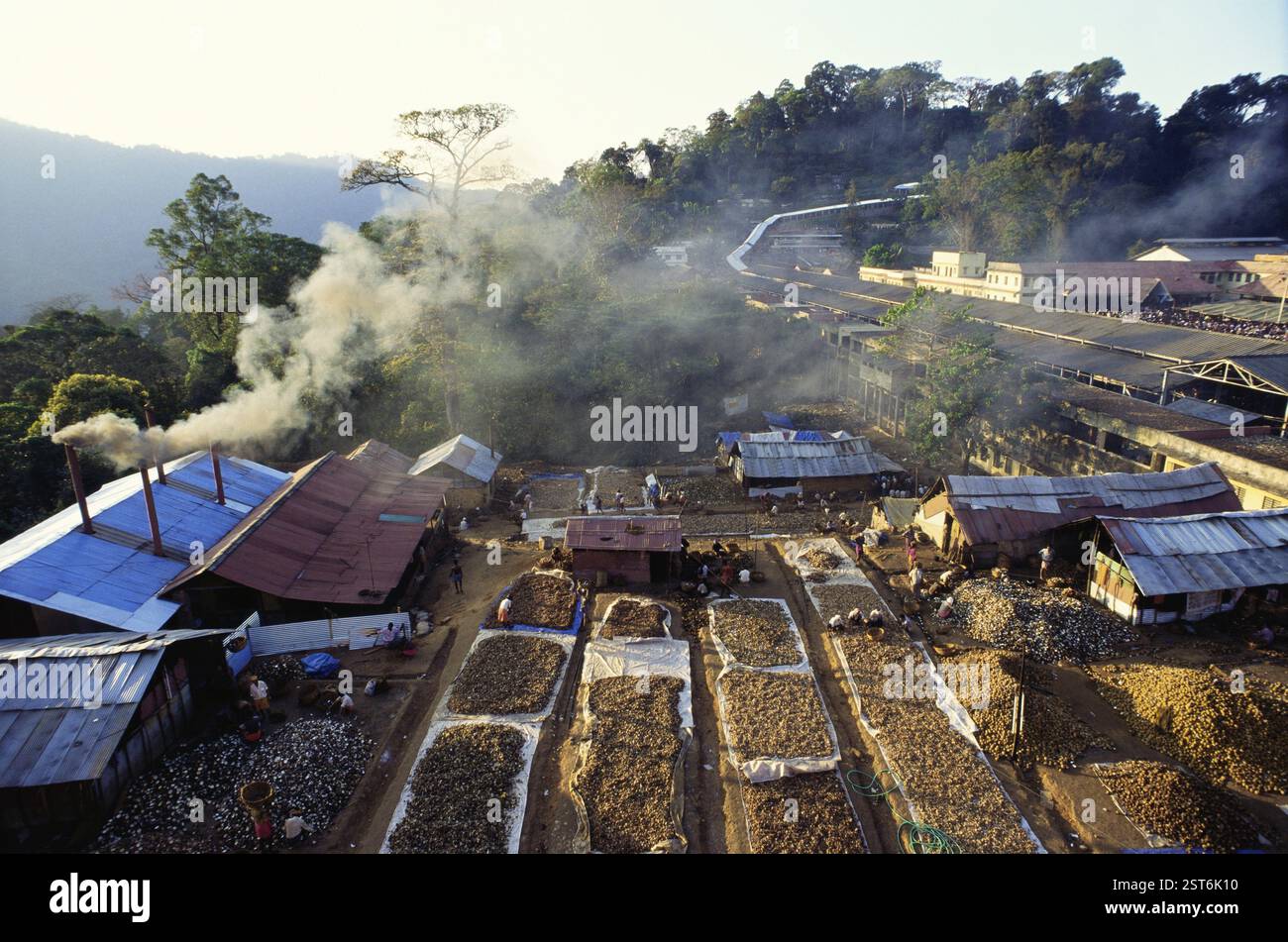 Aerial view of broken coconuts Lord Ayyappa temple, Sabarimala, Kerala ...