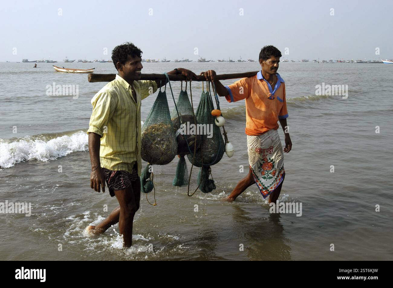 South Asian Indian fishermen carrying loads of fish from their boat ...