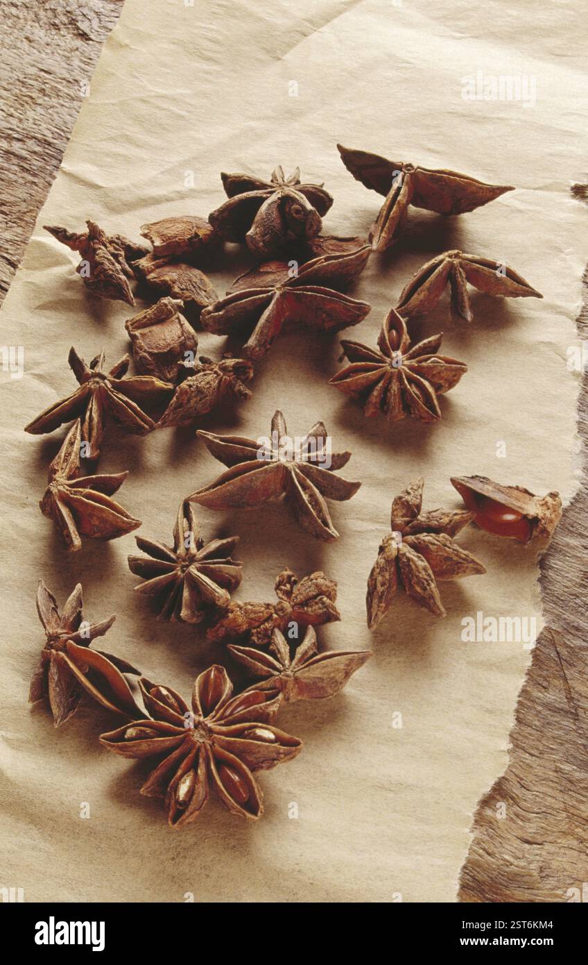 Spices, star anise, (illicium verum), india Stock Photo - Alamy