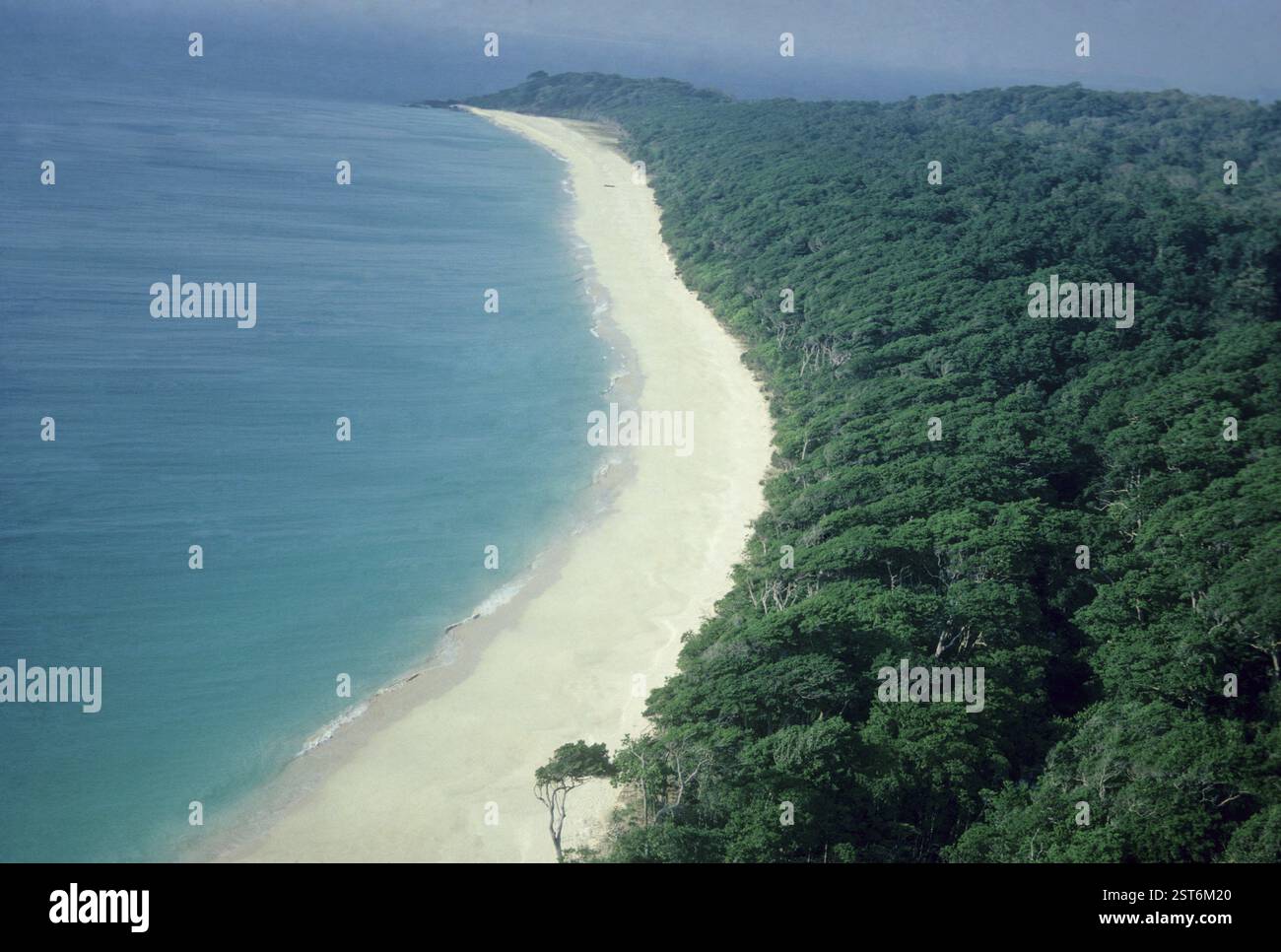 Beach, andaman island, India, Asia Stock Photo - Alamy