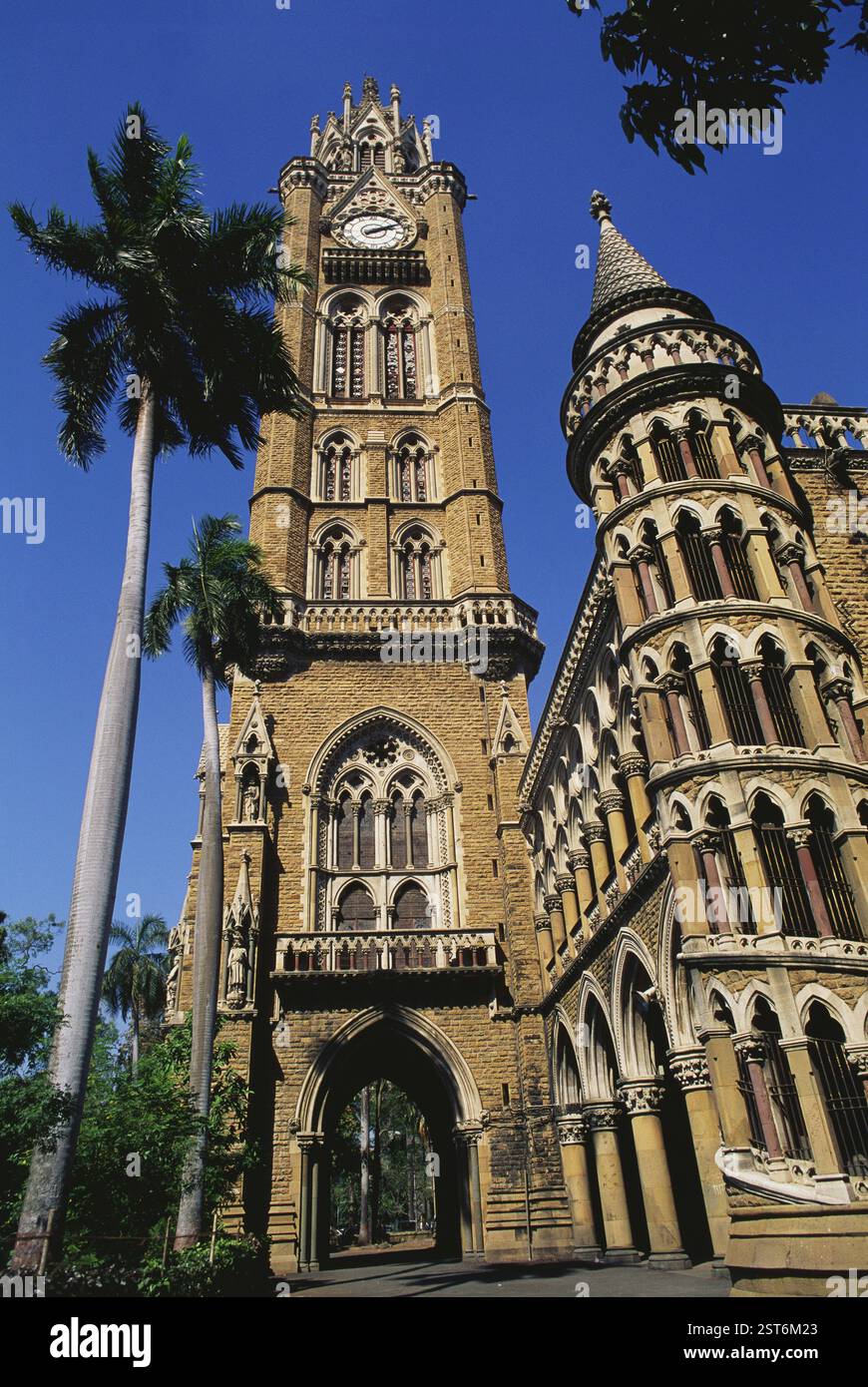 Rajabai Tower, Bombay Mumbai, Maharashtra, India, Asia Stock Photo - Alamy