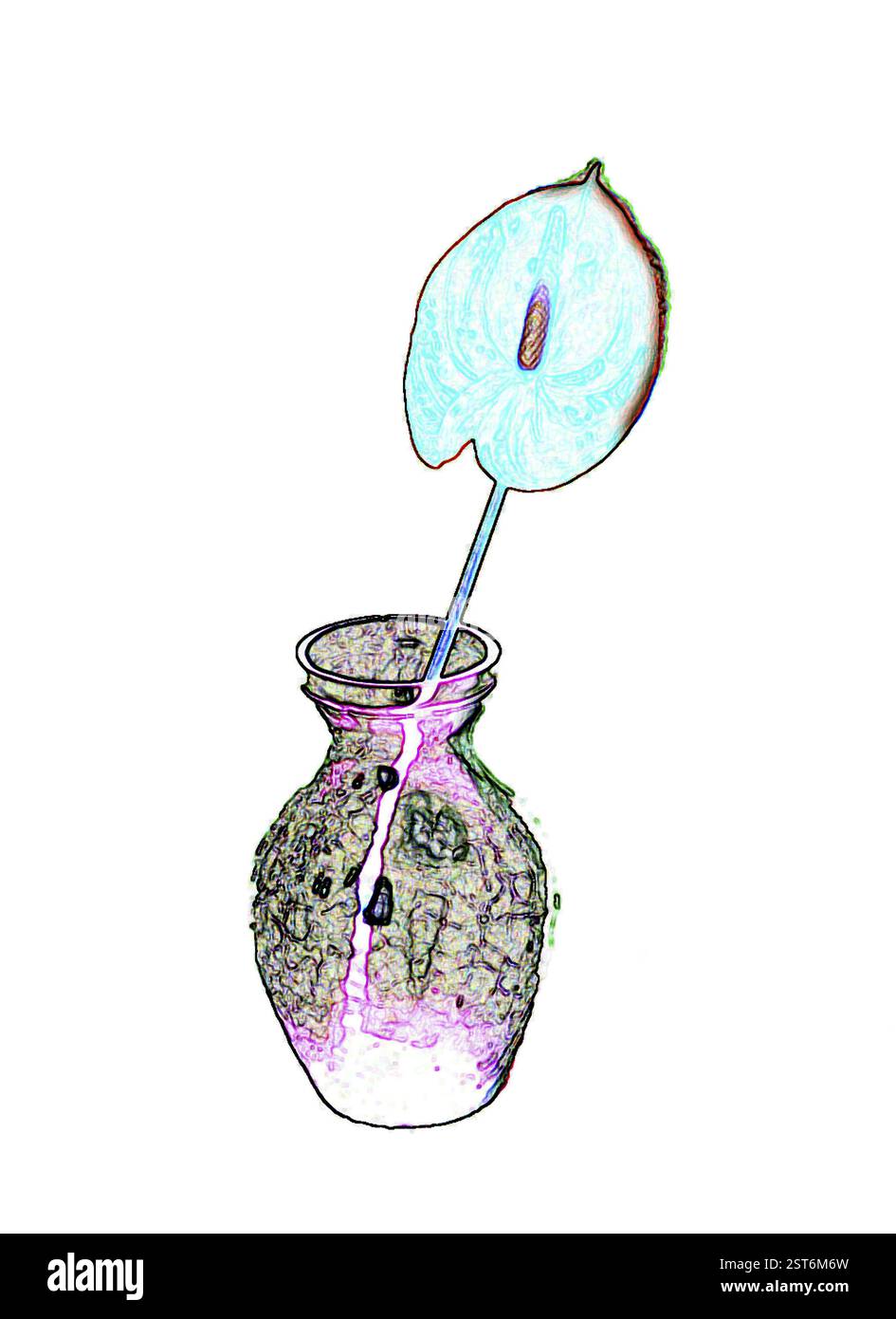 Still life drawings hi-res stock photography and images - Alamy