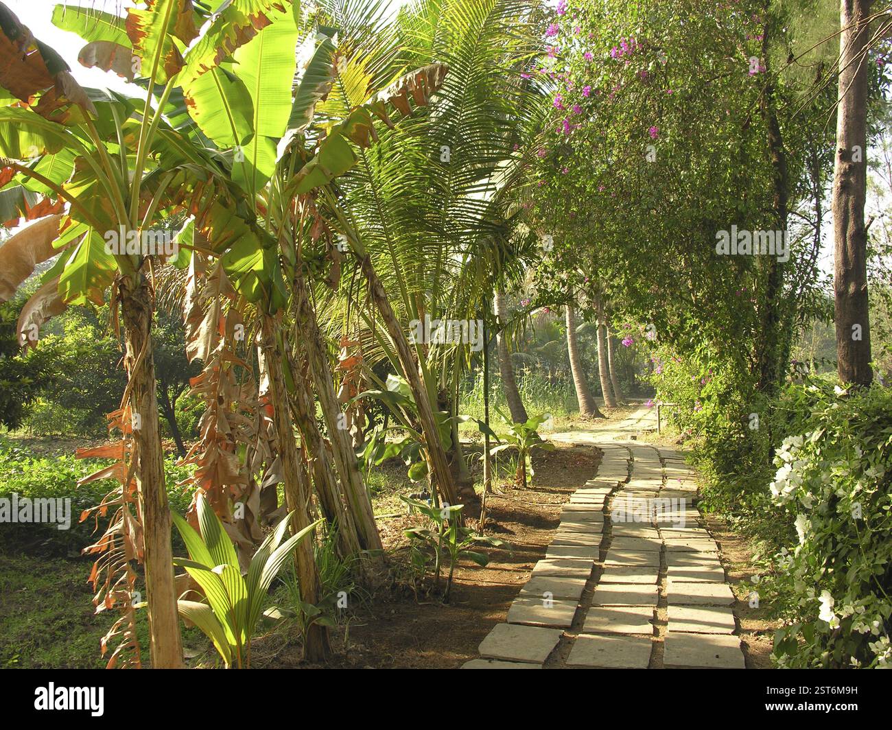 Varun Farm House, Panvel, Maharashtra, India, Asia Stock Photo - Alamy