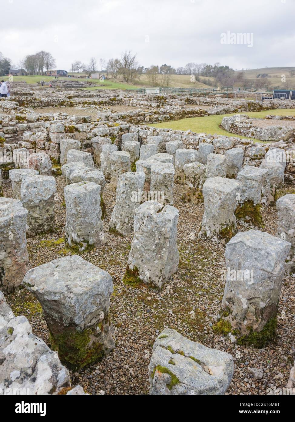Vindolanda Roman fort (castrum) south of Hadrian's Wall in northern ...
