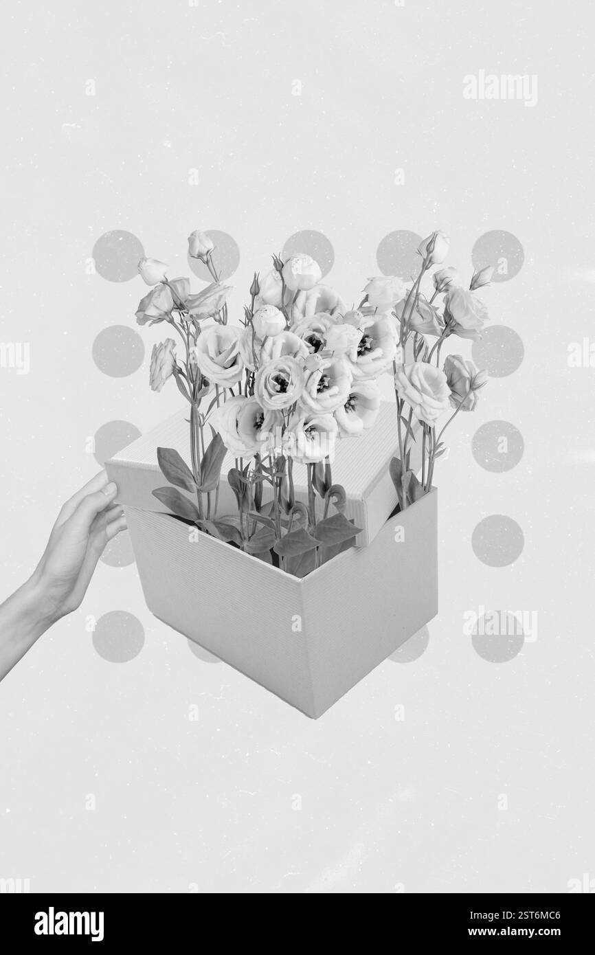 Collage photo poster of stack pink beautiful fresh bloom growing roses ...