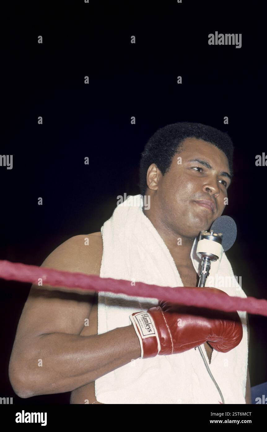 Boxer, Muhammad Ali NO MR Stock Photo - Alamy