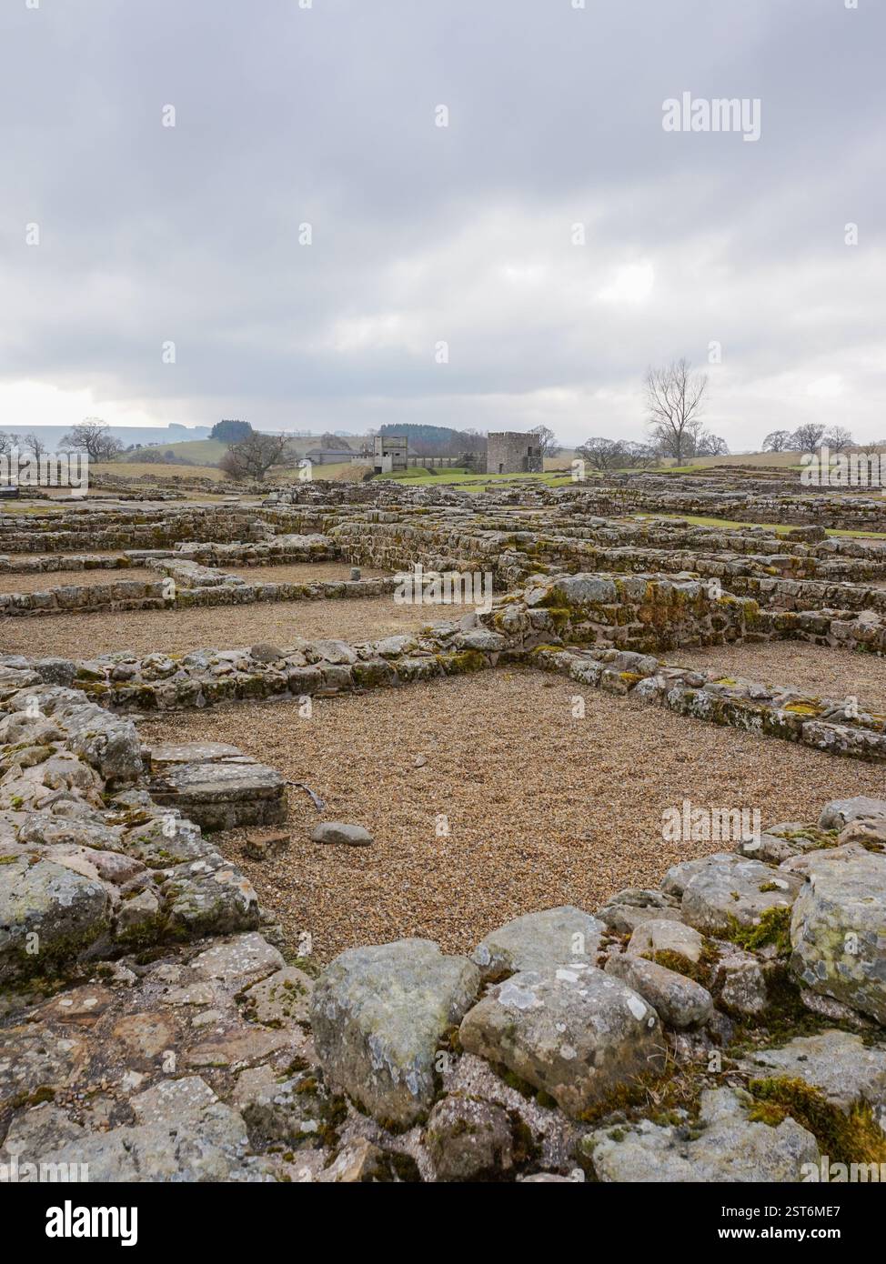 Vindolanda Roman fort (castrum) south of Hadrian's Wall in northern ...
