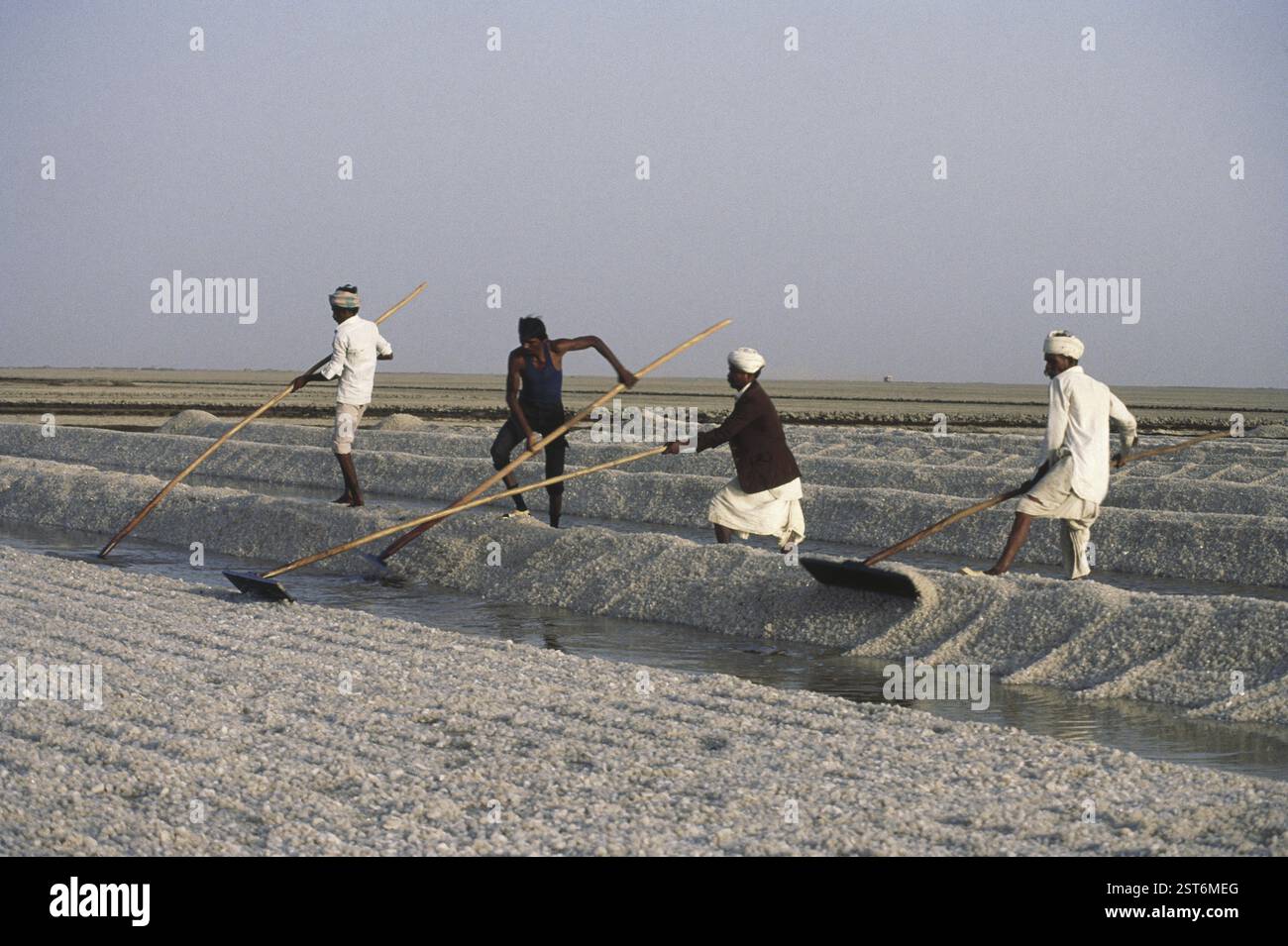 Salt plant, panning the salt crystals from pans, little rann of kutch ...