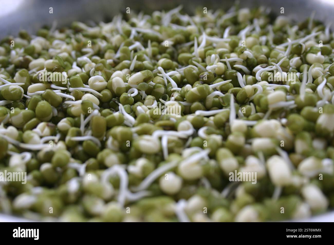Breakfast Sprouted Pulse (Moong daal) Health Food, India, Asia Stock ...