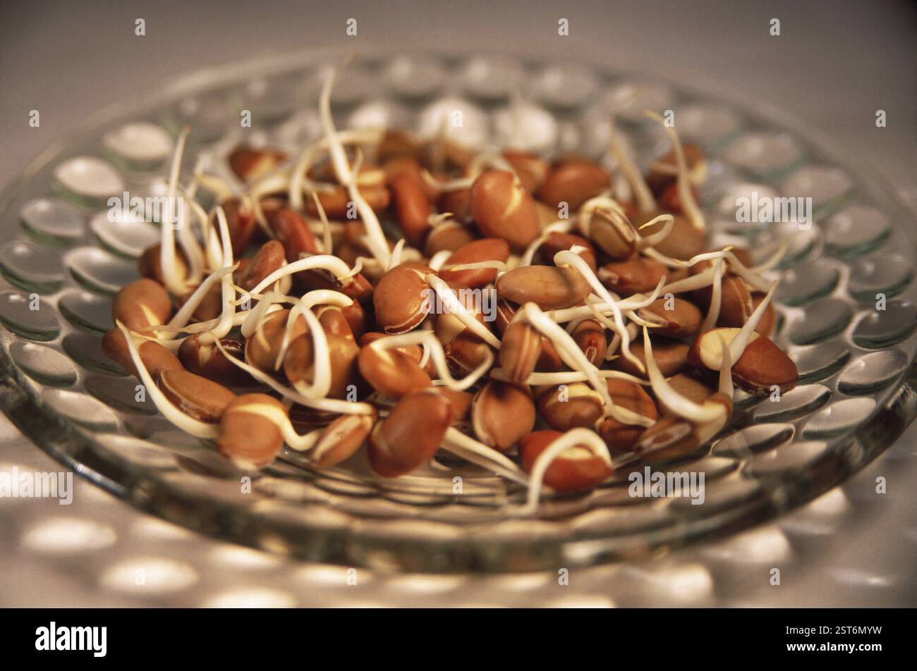 Wal pod hi-res stock photography and images - Alamy