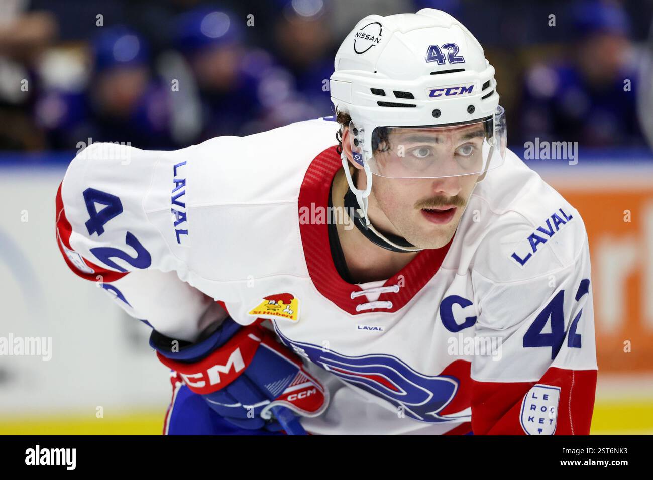 February 16th 2025: Laval Rocket forward Lucas Condotta (42) skates in ...