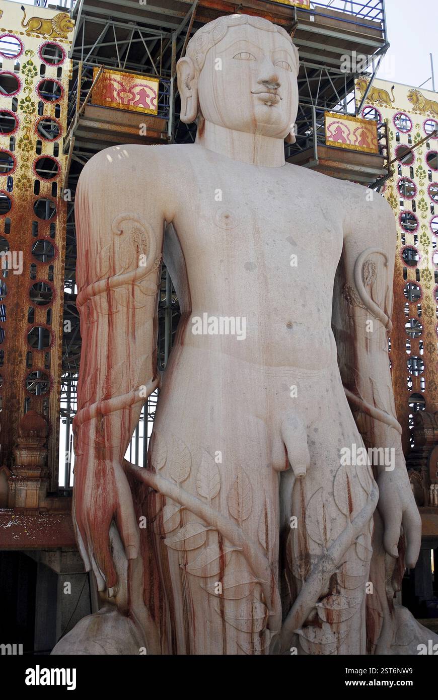 Jain Devotees pouring Vermillion Water on the head of 58.8 feet monolithic Statue of jain saint ...