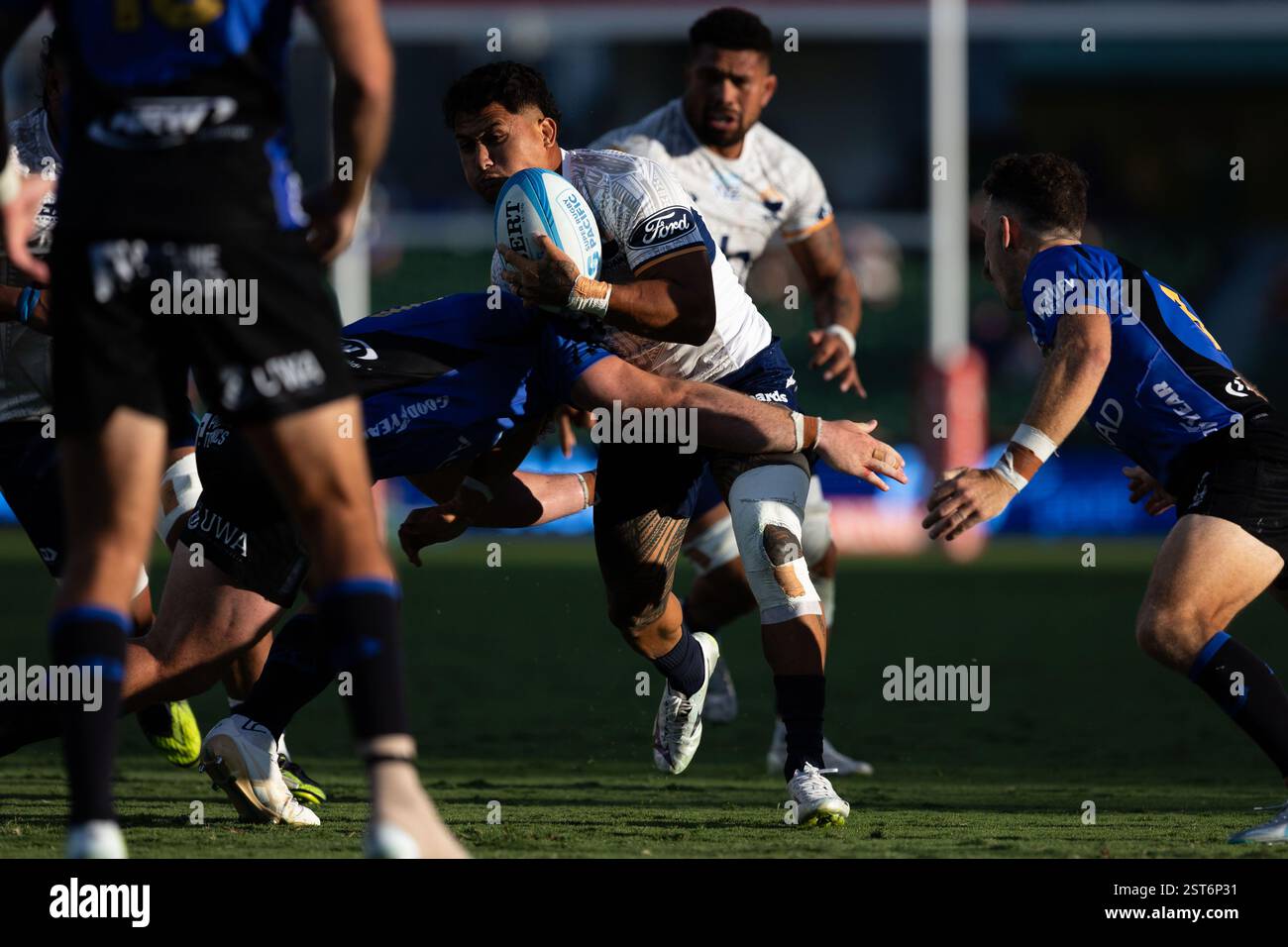 Perth, Australia. 15th Feb, 2025. Perth, Australia, February 15th 2025 ...