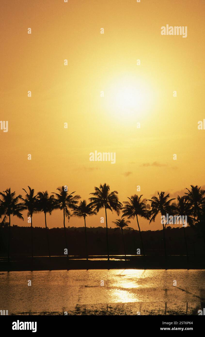 Goa india sceneries hi-res stock photography and images - Alamy