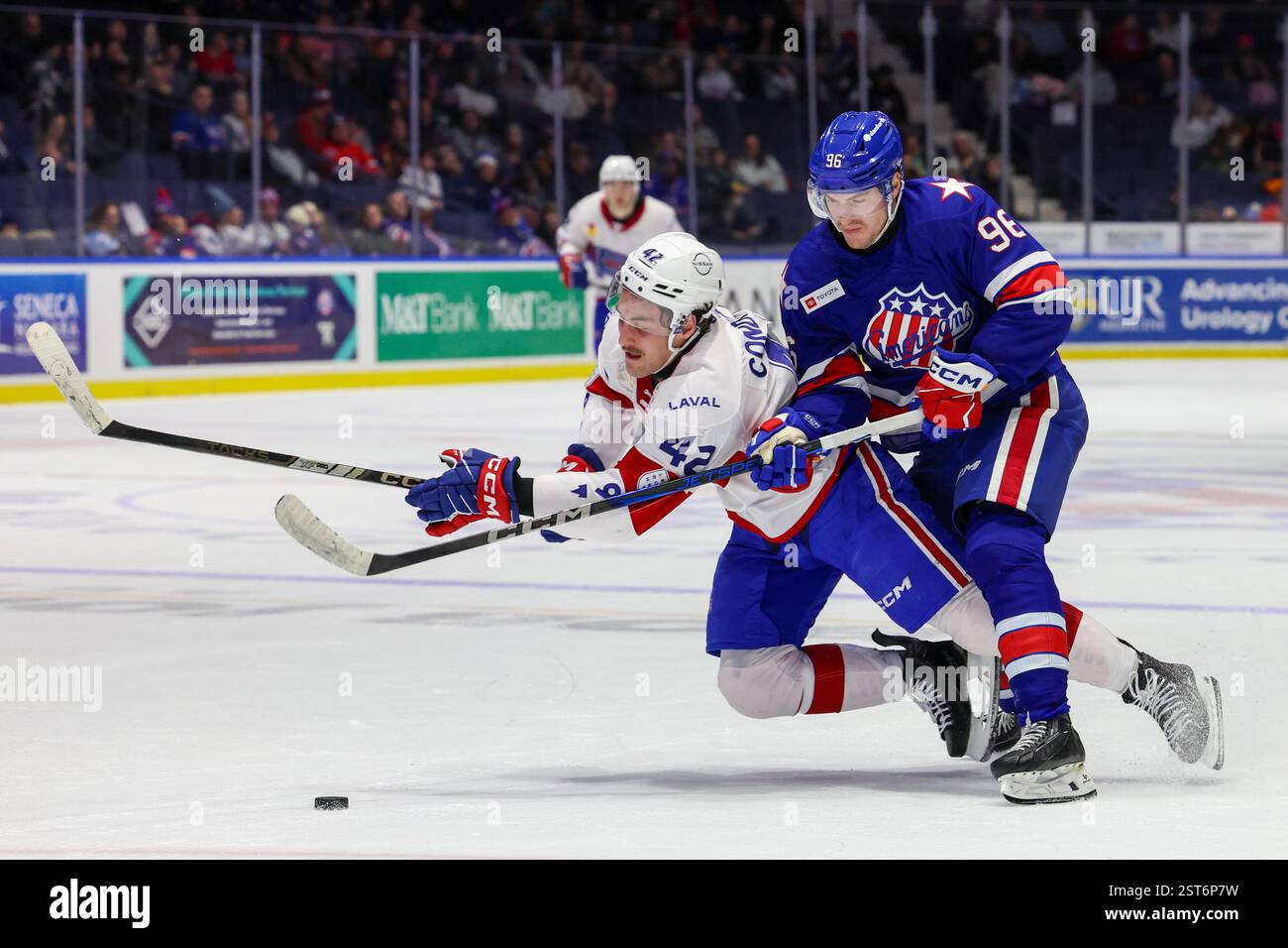 February 16th 2025: Laval Rocket forward Lucas Condotta (42) and ...