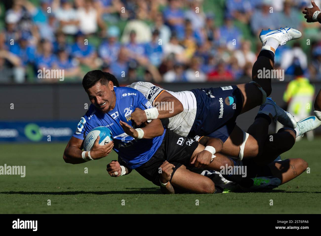 Perth, Australia. 15th Feb, 2025. Perth, Australia, February 15th 2025 ...