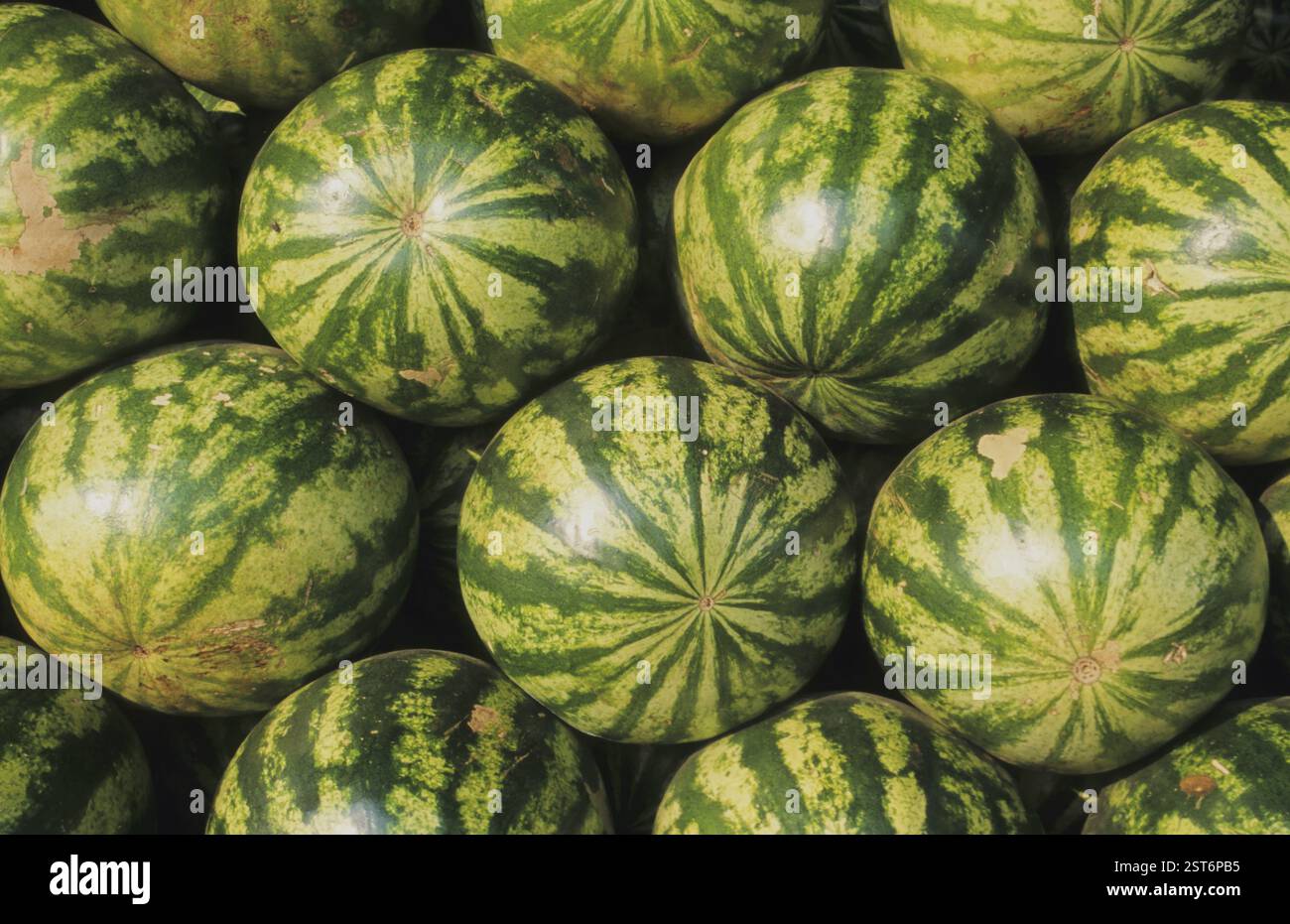 Fruits - Watermelons Stock Photo - Alamy