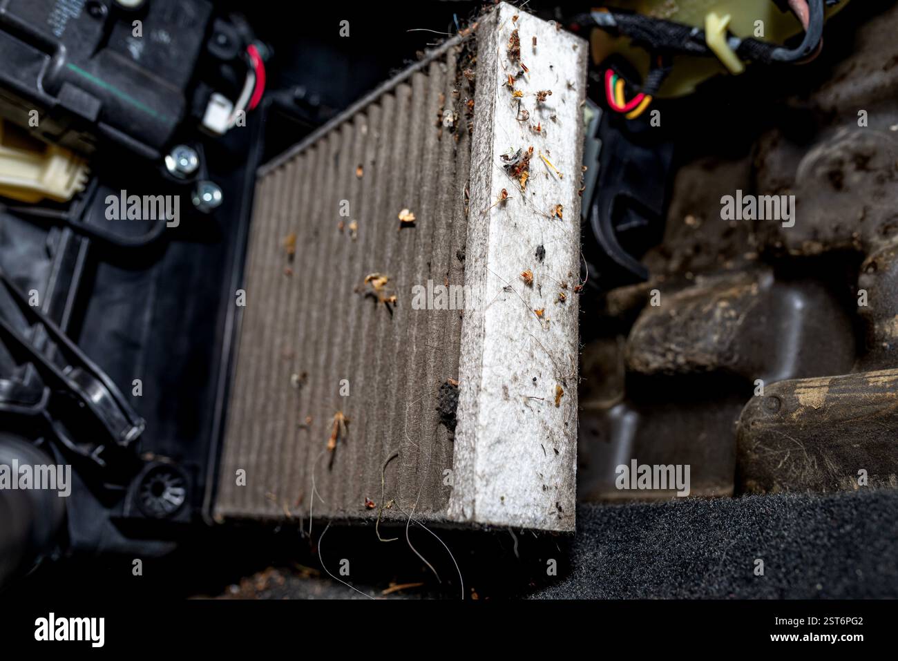 Removing dust dirt from car hi-res stock photography and images - Alamy