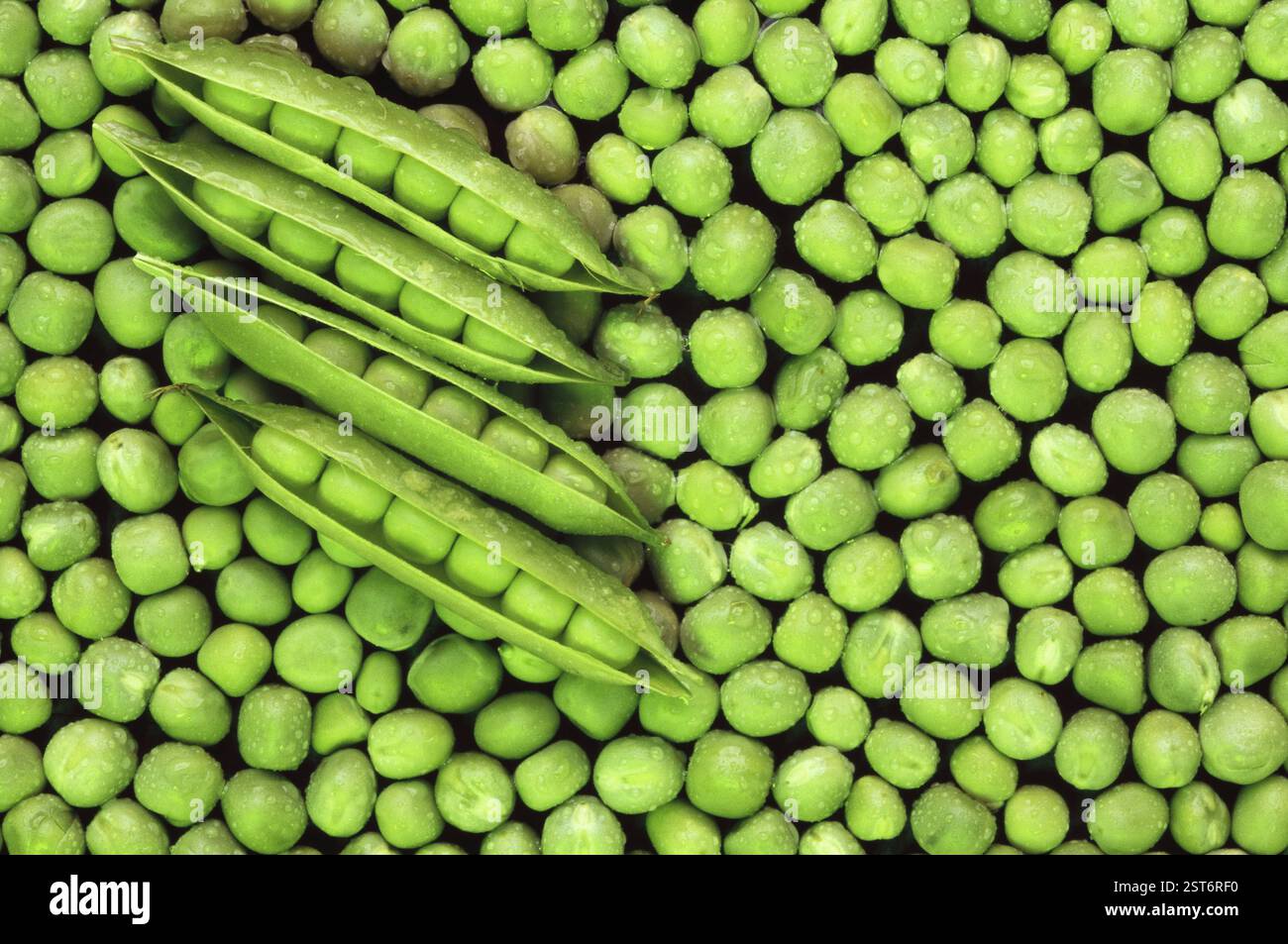 Vegetable, green peas, india Stock Photo - Alamy