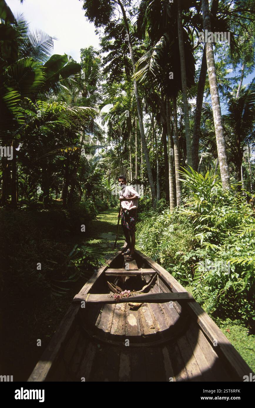 Man moving boat, backwater, canals, (cochin) kochi, kerala, india Stock ...