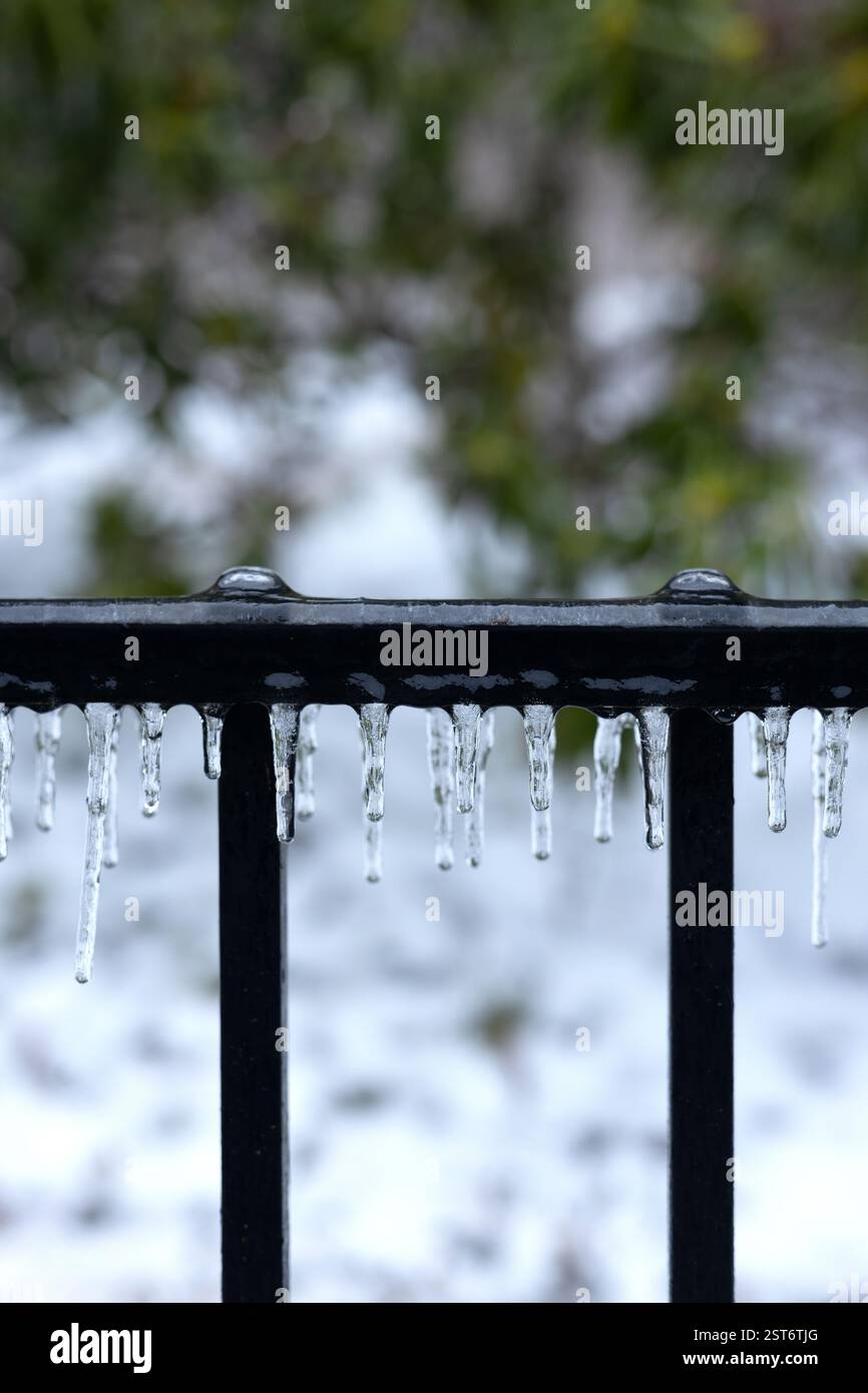 Icicles dripping off a metal fence after a winter ice storm Stock Photo ...