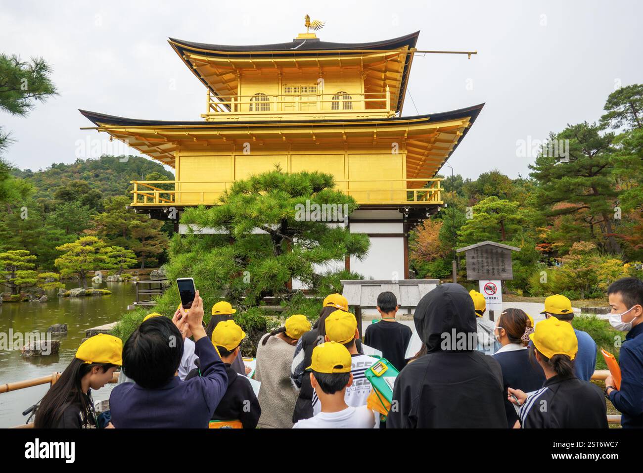 group of Japanese students wearing golden yellow hats in front of the ...