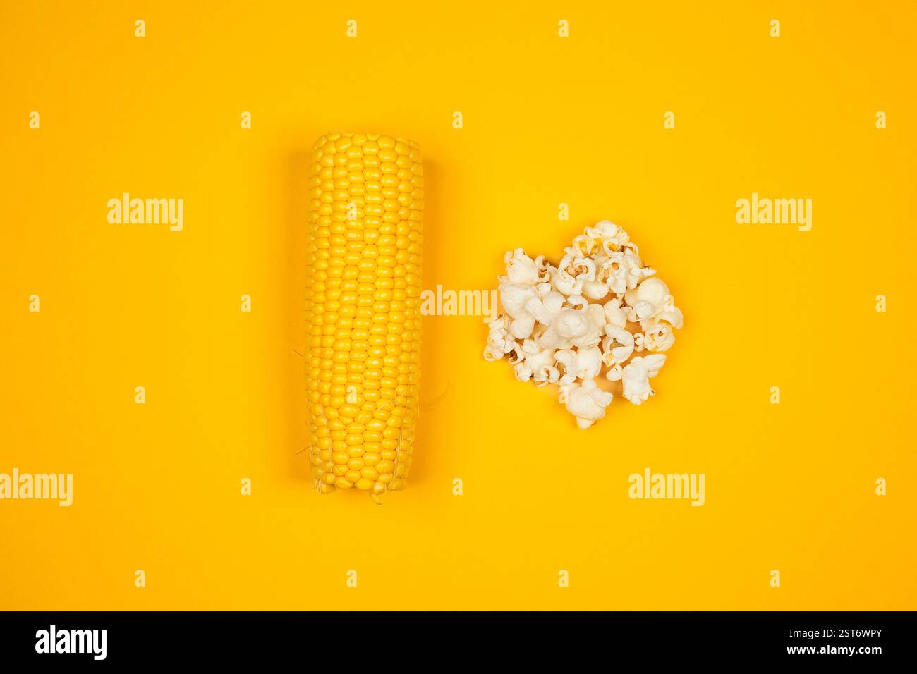 A minimalist composition featuring an ear of corn and freshly popped ...