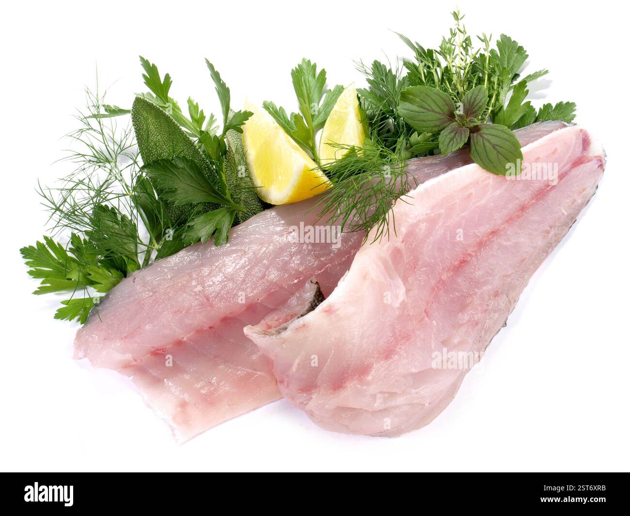Sea Wolf - Fish Fillet on white Background Stock Photo - Alamy
