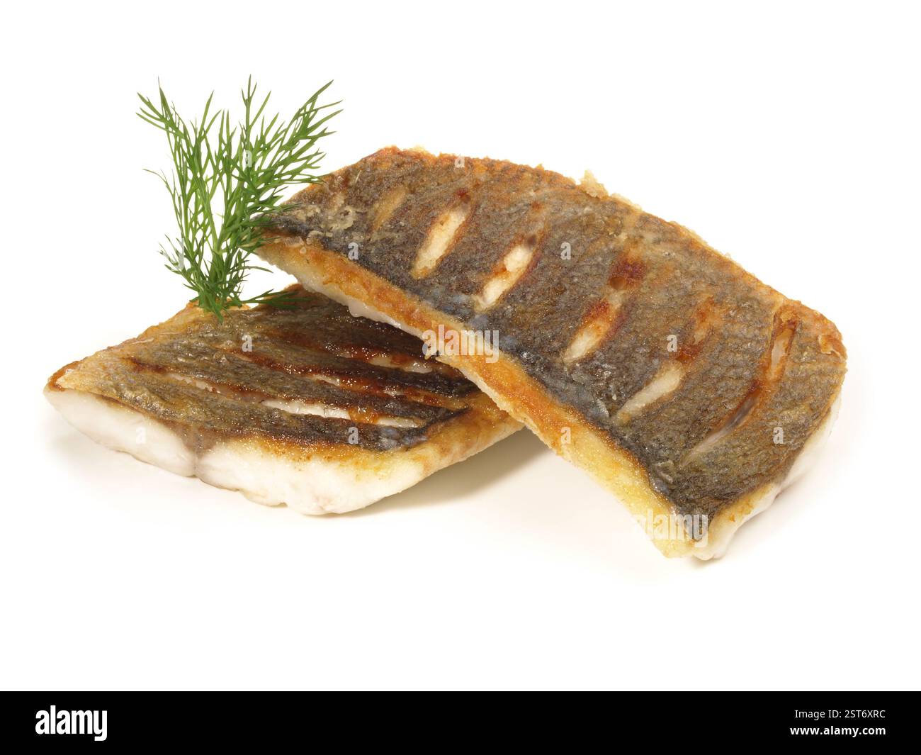 Grilled Sea Wolf - Fish Fillet on white Background Stock Photo - Alamy