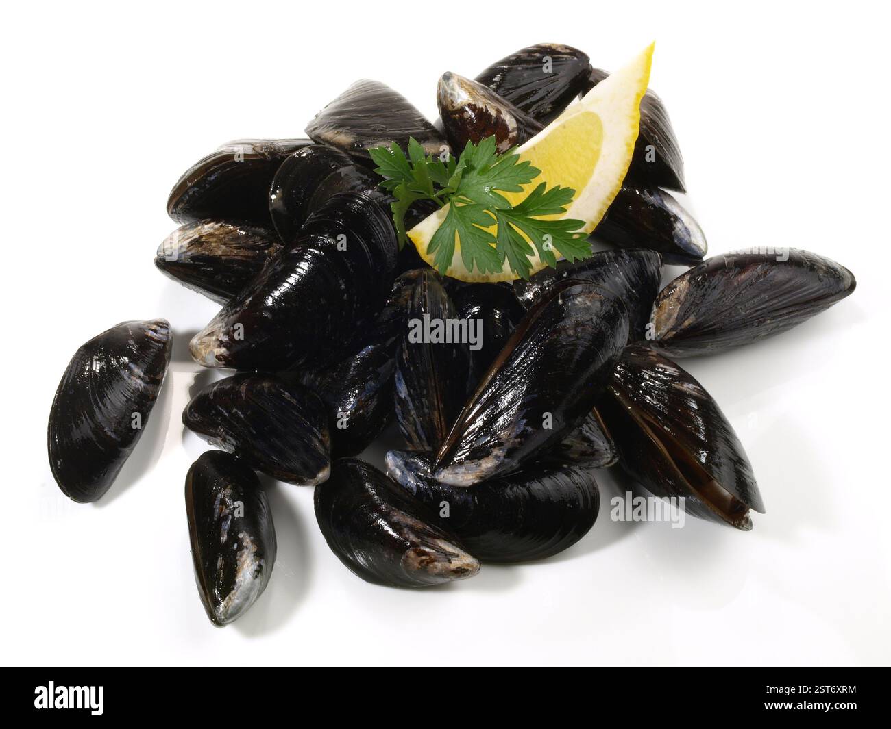 Gourmetwhole hi-res stock photography and images - Alamy