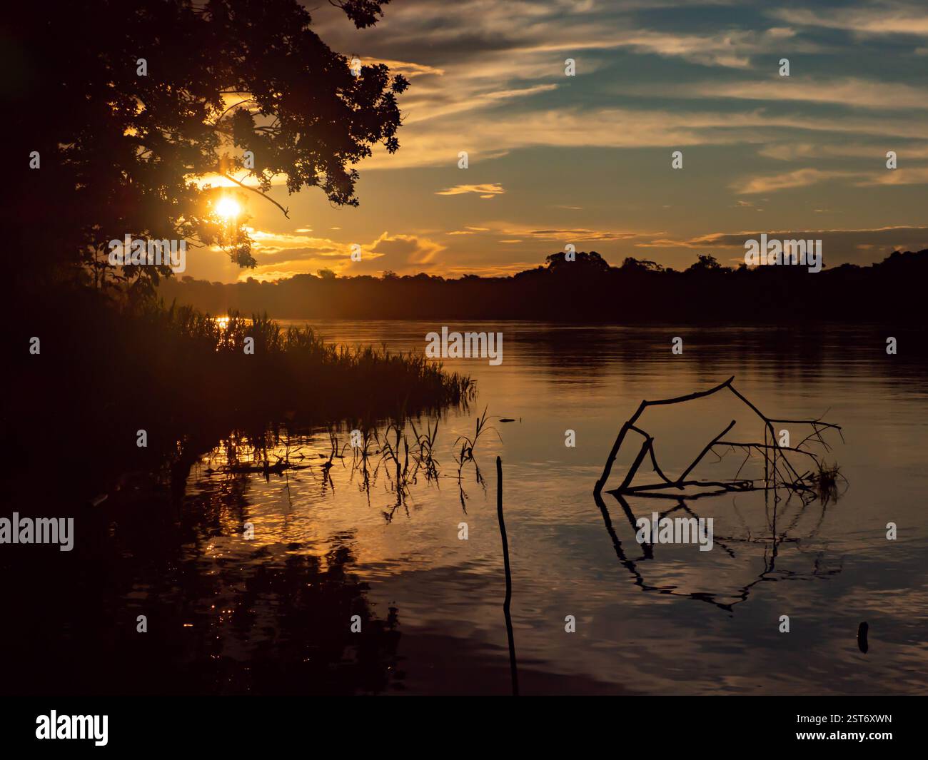 Amazonia - sunset over the Javari river, Amazonas rain forest. Selva on ...