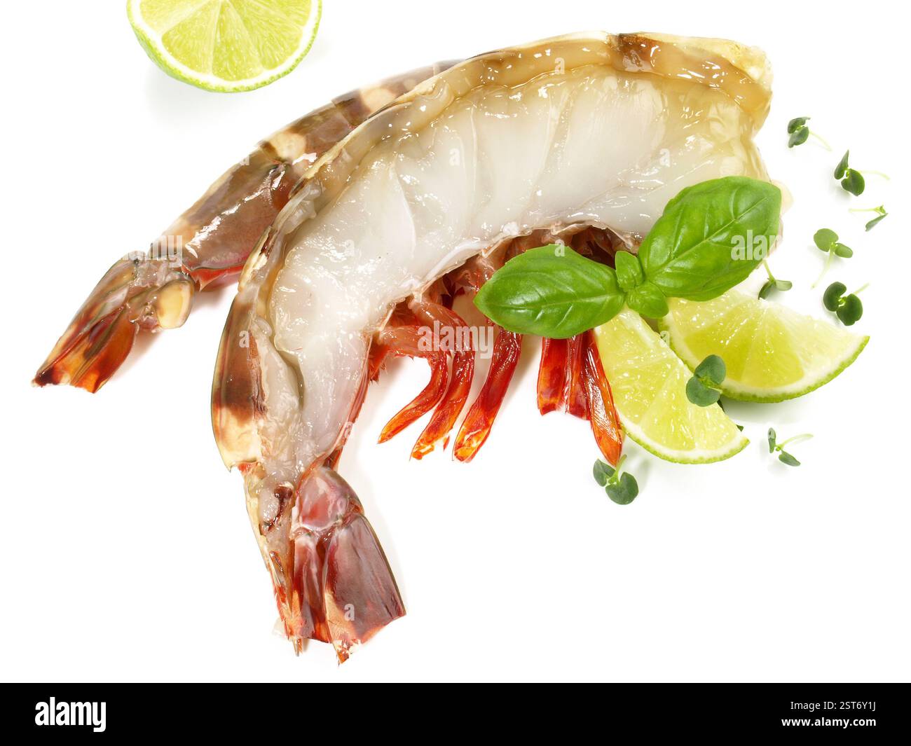 King Prawn - Tiger Prawn on white Background Stock Photo - Alamy