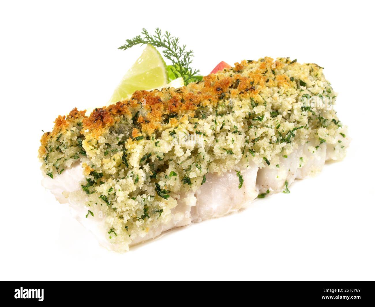 Red Perch on White Stock Photo - Alamy