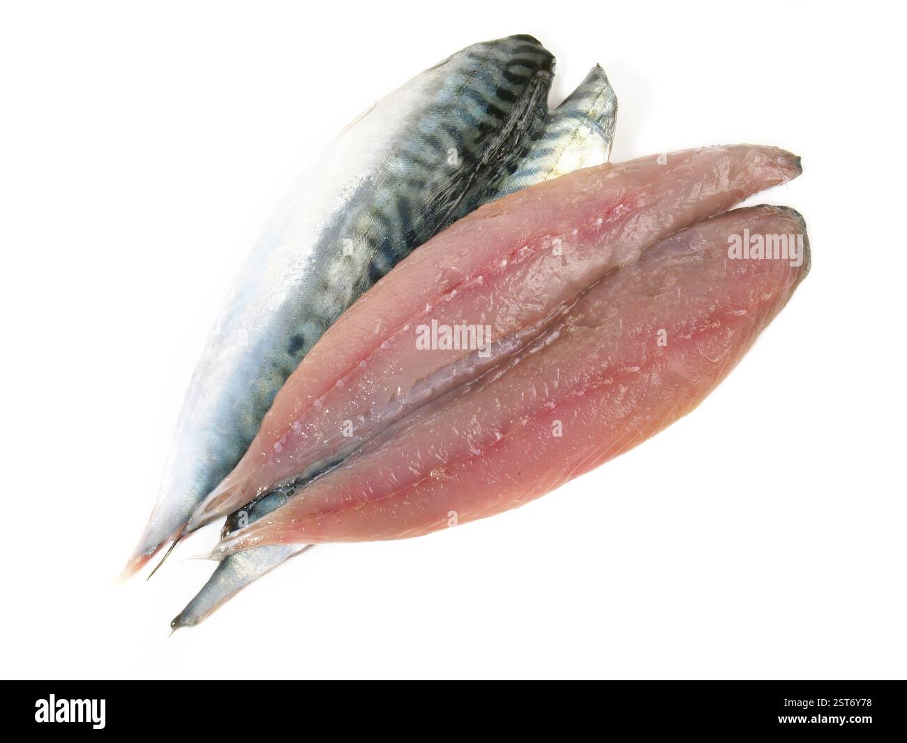 Pilchard Fillet - Fish on white Background Stock Photo - Alamy