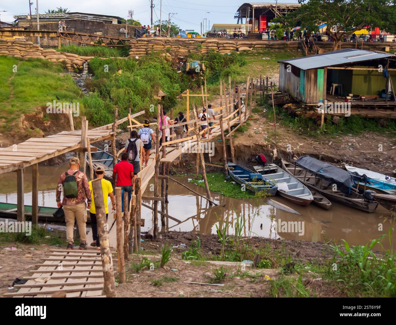 Amazon rainforest brazil bridge hi-res stock photography and images - Alamy