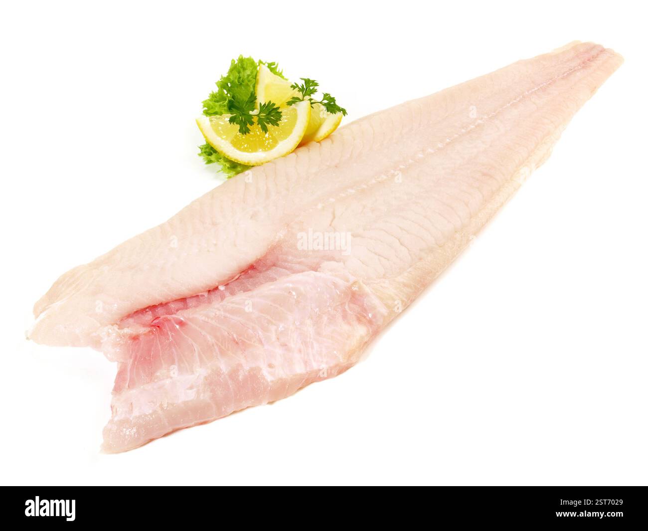 Catfish Fish Fillet on white Background Stock Photo - Alamy