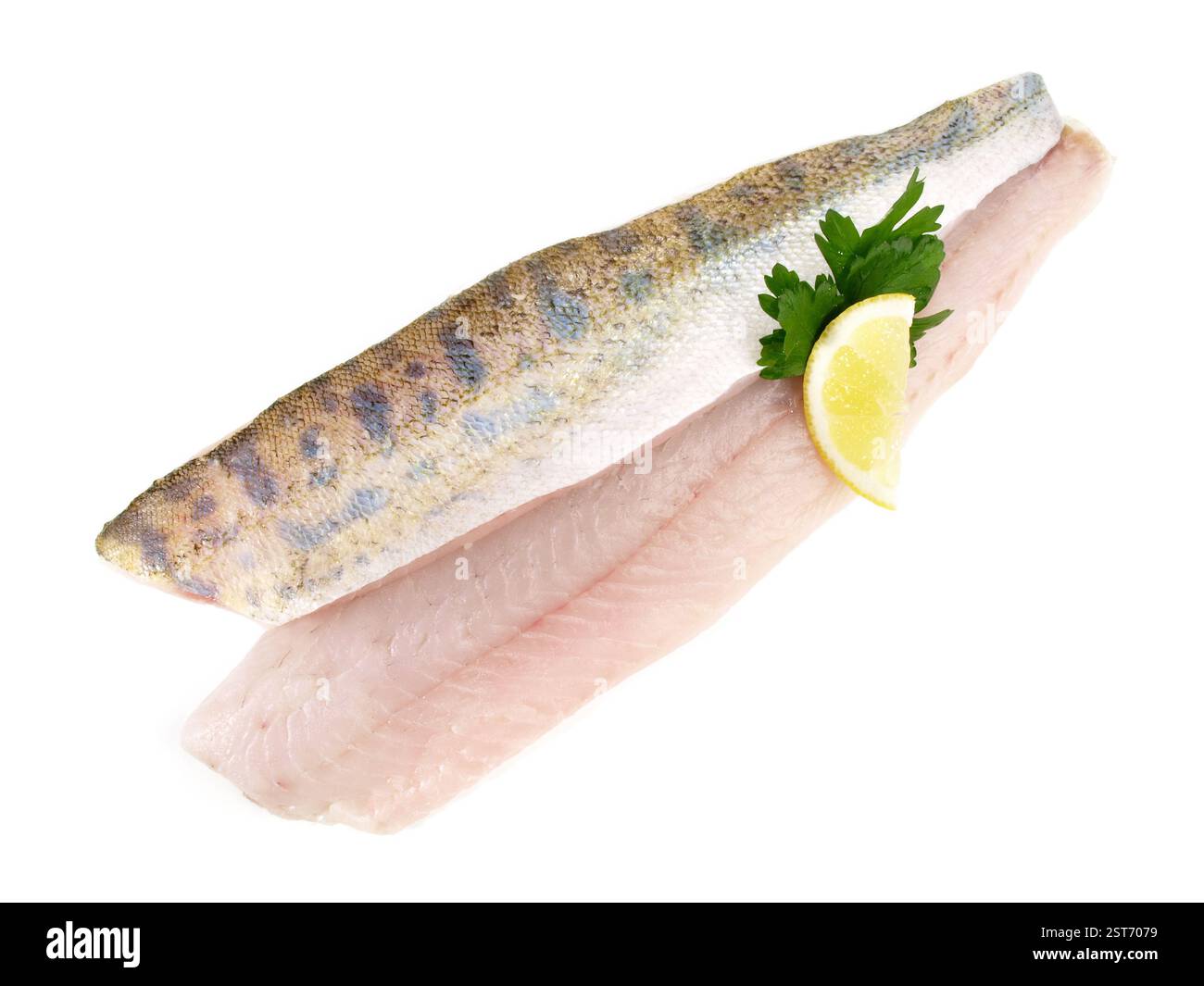 Pickerel fish hi-res stock photography and images - Alamy