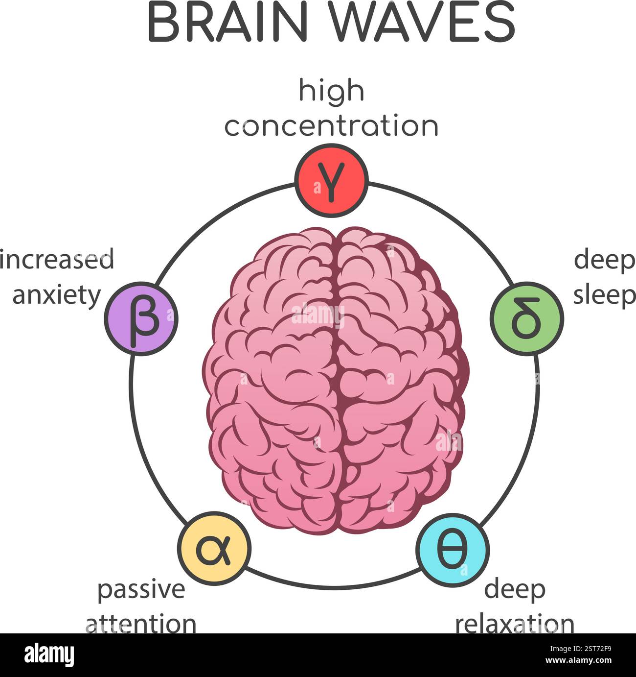 Brain waves Cut Out Stock Images & Pictures - Alamy