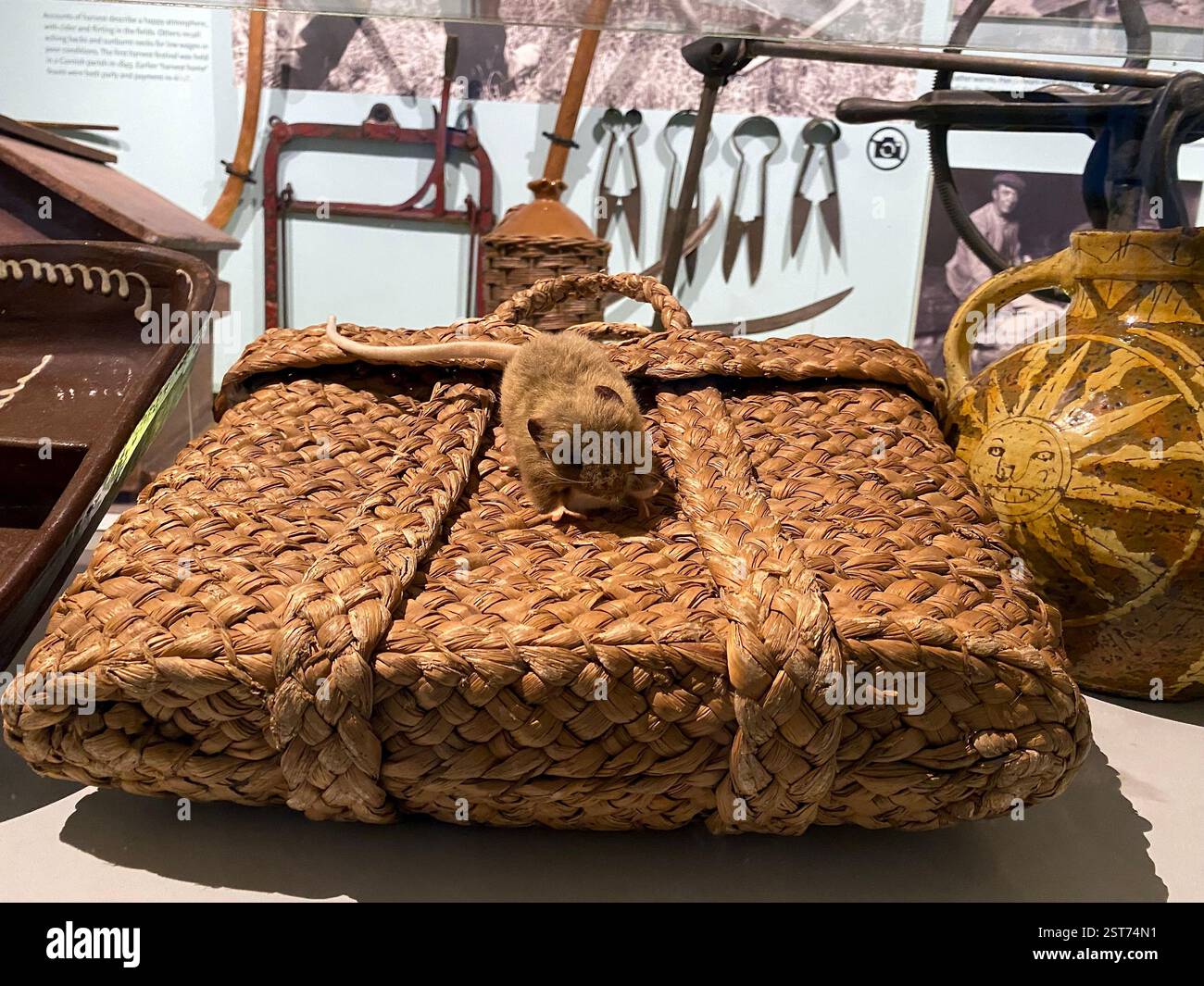 The Museum of English Rural life is owned and managed by the University ...