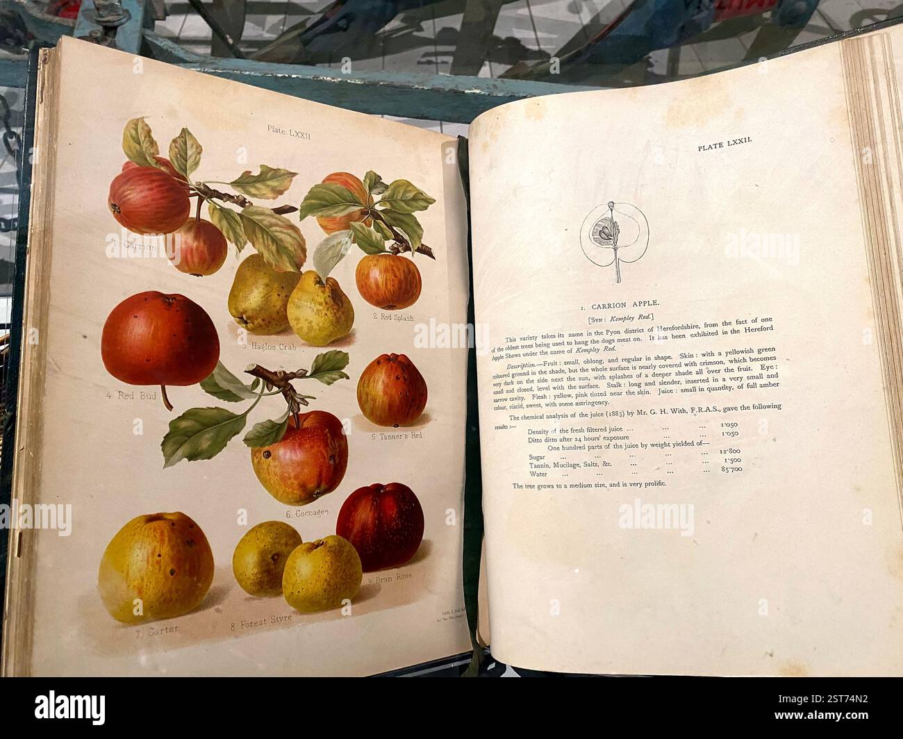 The Museum of English Rural life is owned and managed by the University ...