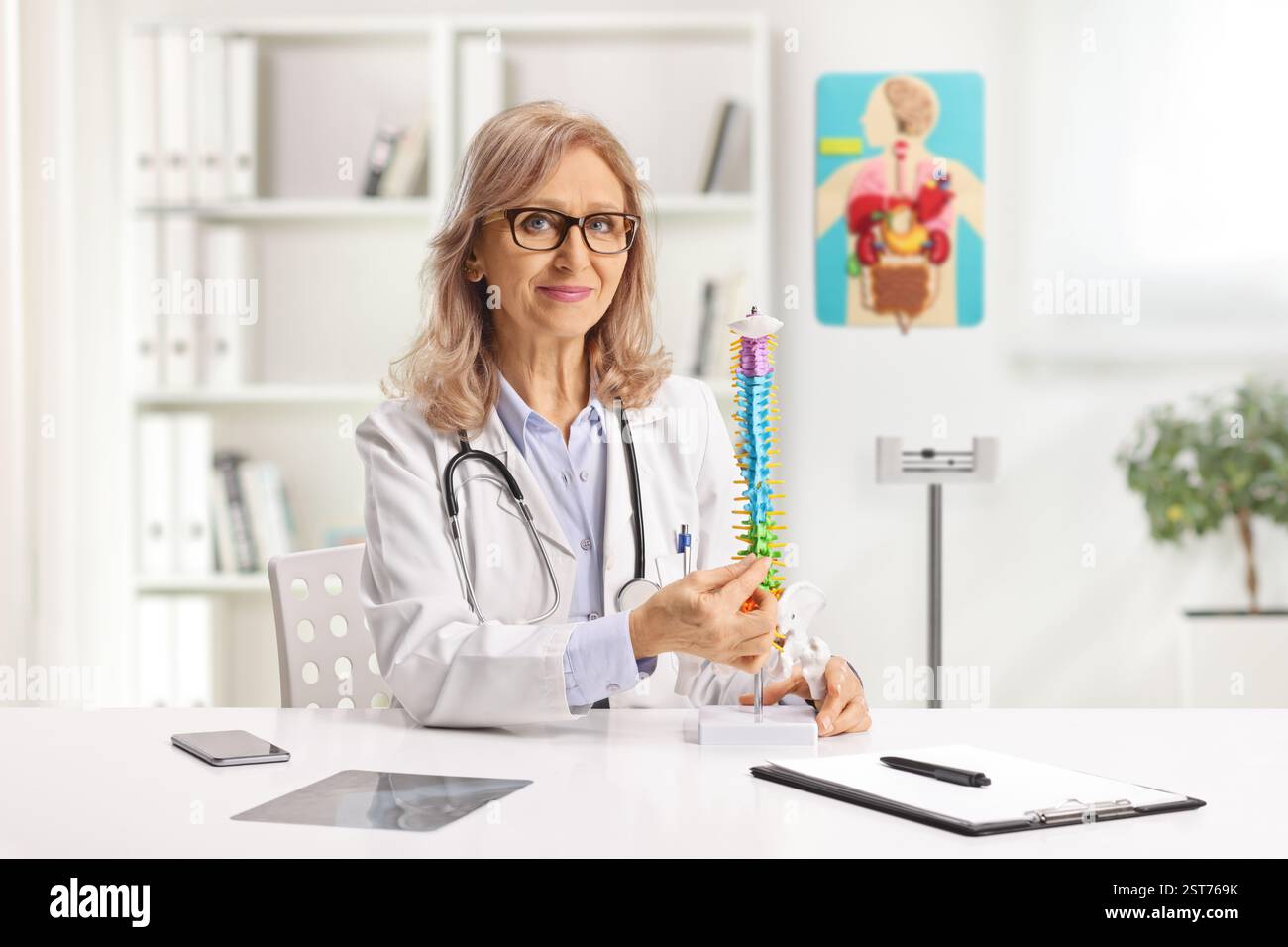 Female orthopedic doctor with a human spine model at the office Stock ...